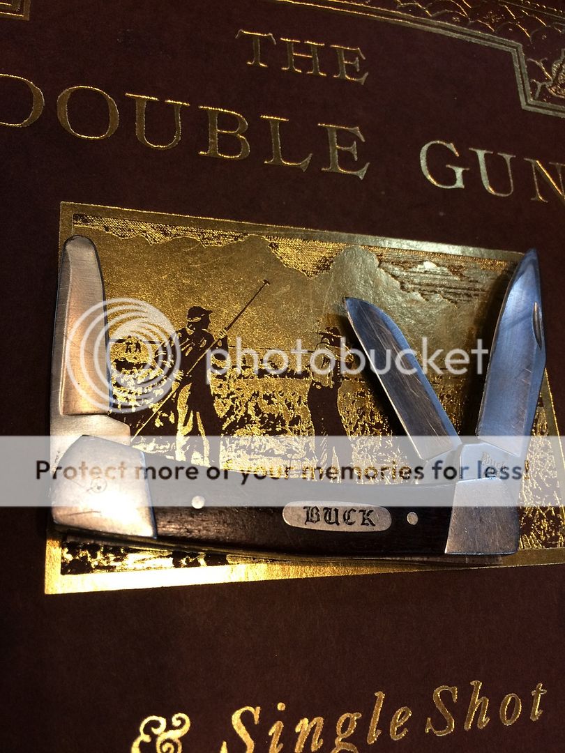 Buck 703 Colt | Shotgun Forum